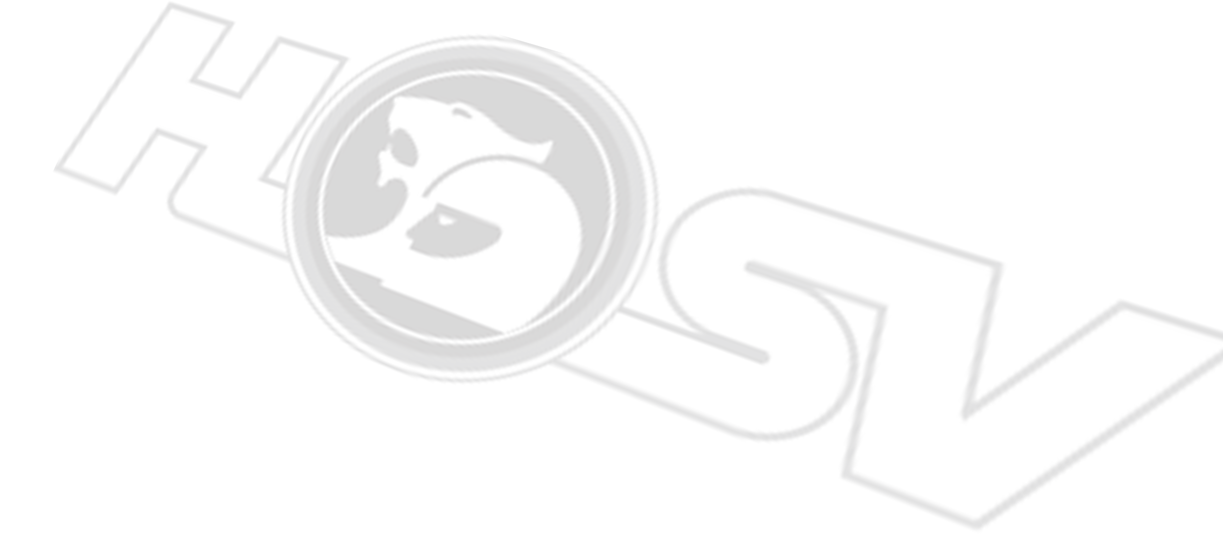 Official HSV Owners Custom Framed Car Art